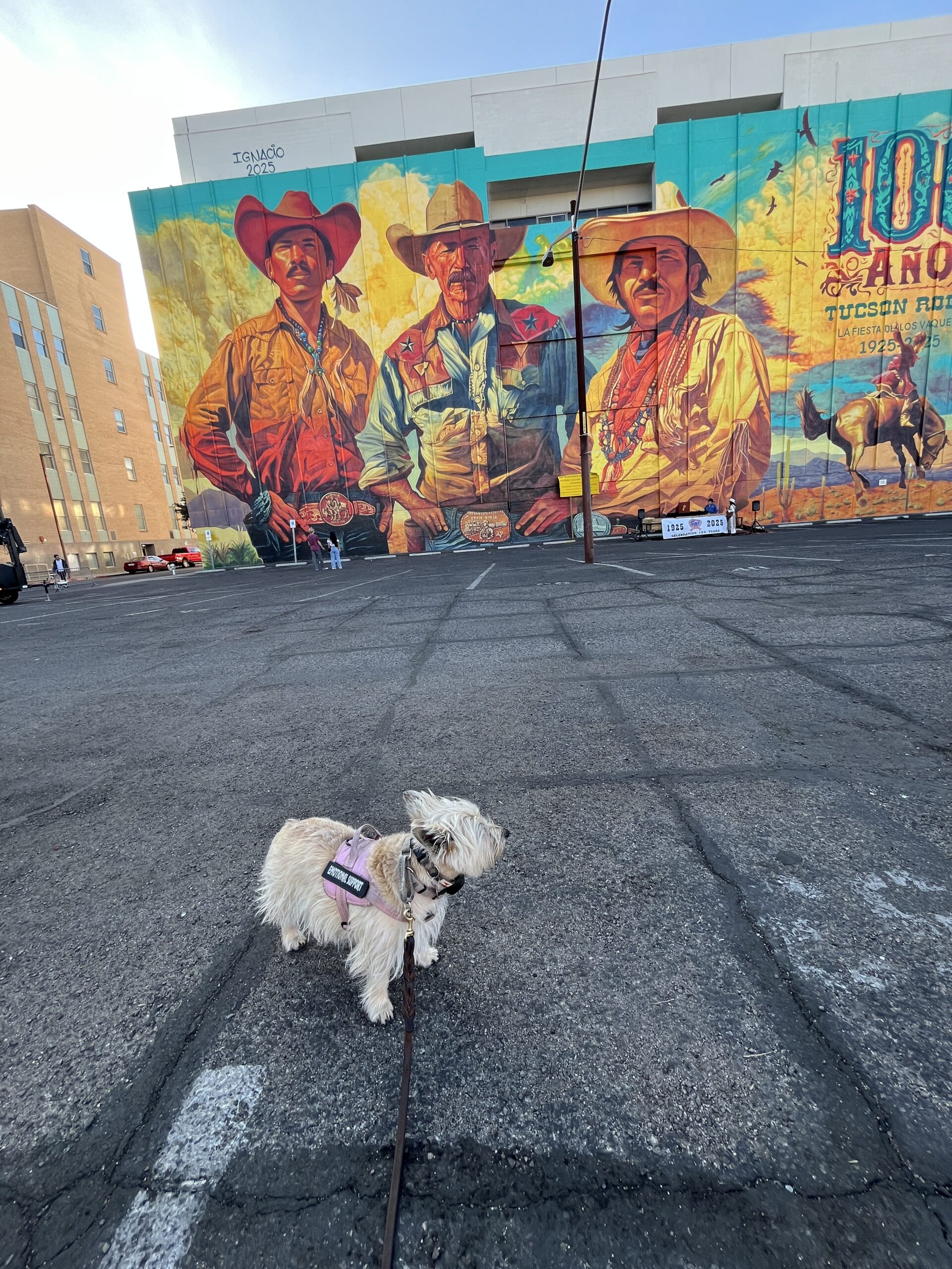 Embracing Tucson: The Rodeo Parade - Relentless: Writer | Strategist ...