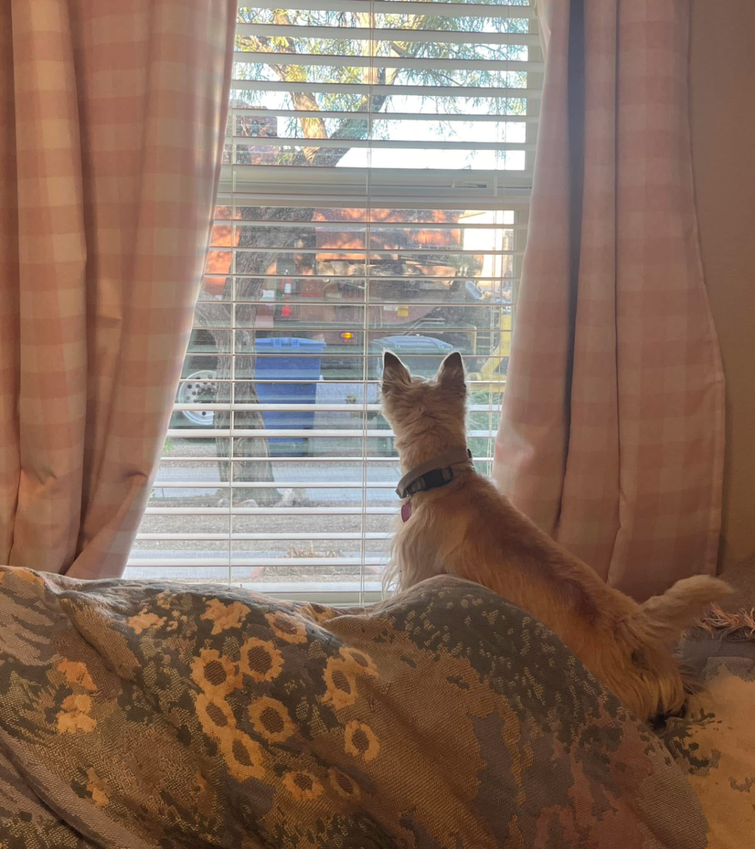 Garbage Day - Relentless: Writer | Strategist | Networker